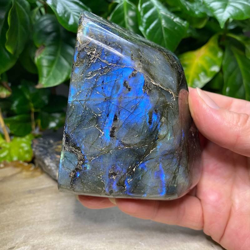 Labradorit Freeform: Naturlig Skønhed