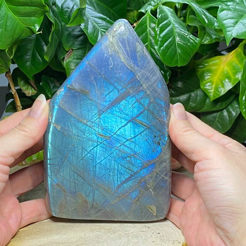 Labradorit Freeform: Naturlig Skønhed